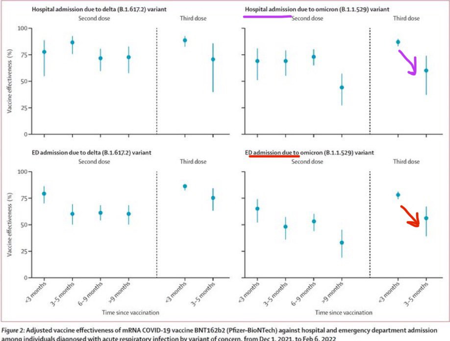 Warning! Waning Immunity - by Staff