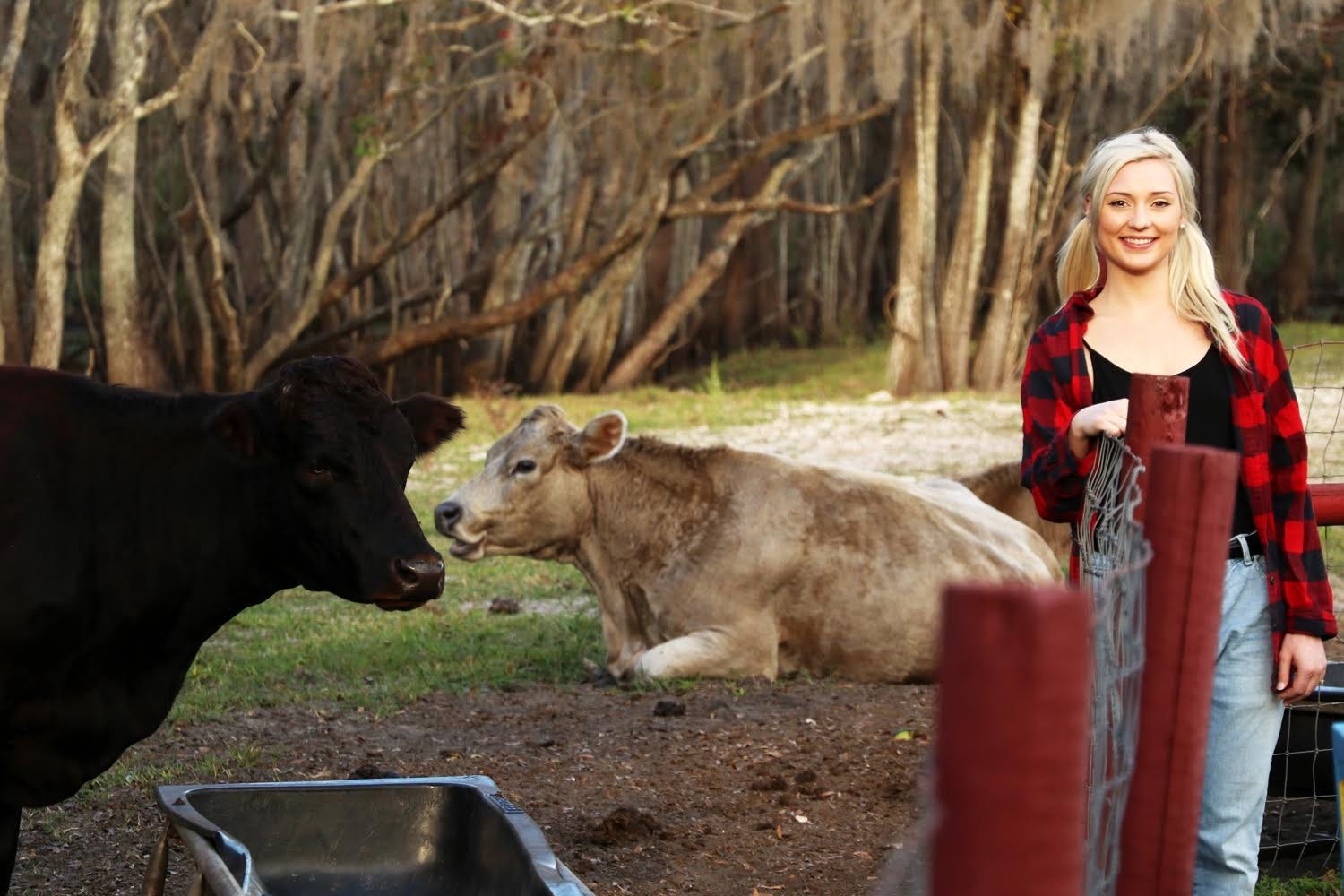 Welcome to Comfy Goat! - by Alexis - Comfy Goat Newsletter