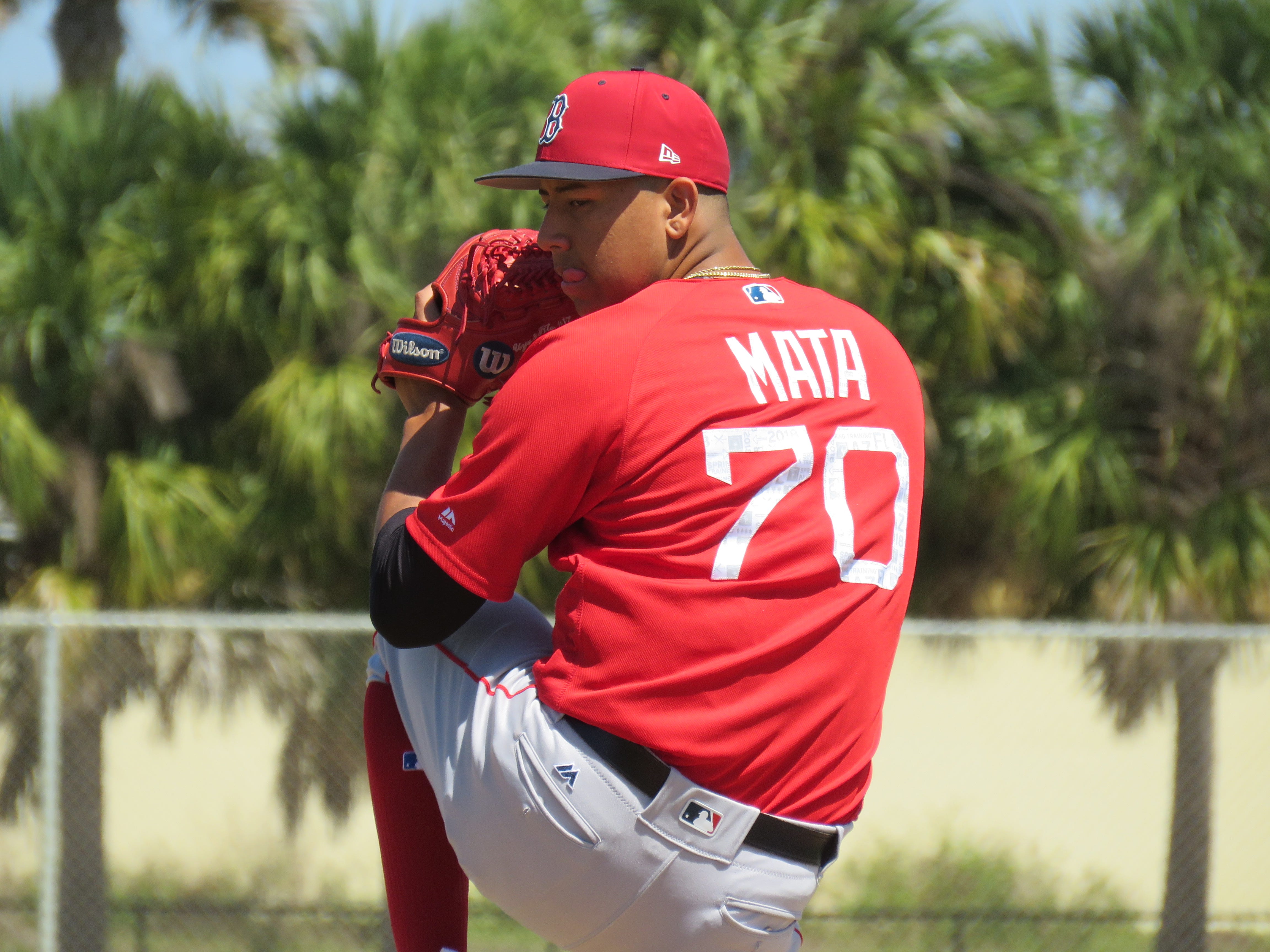 Bryan Mata makes second rehab start - Beyond the Monster