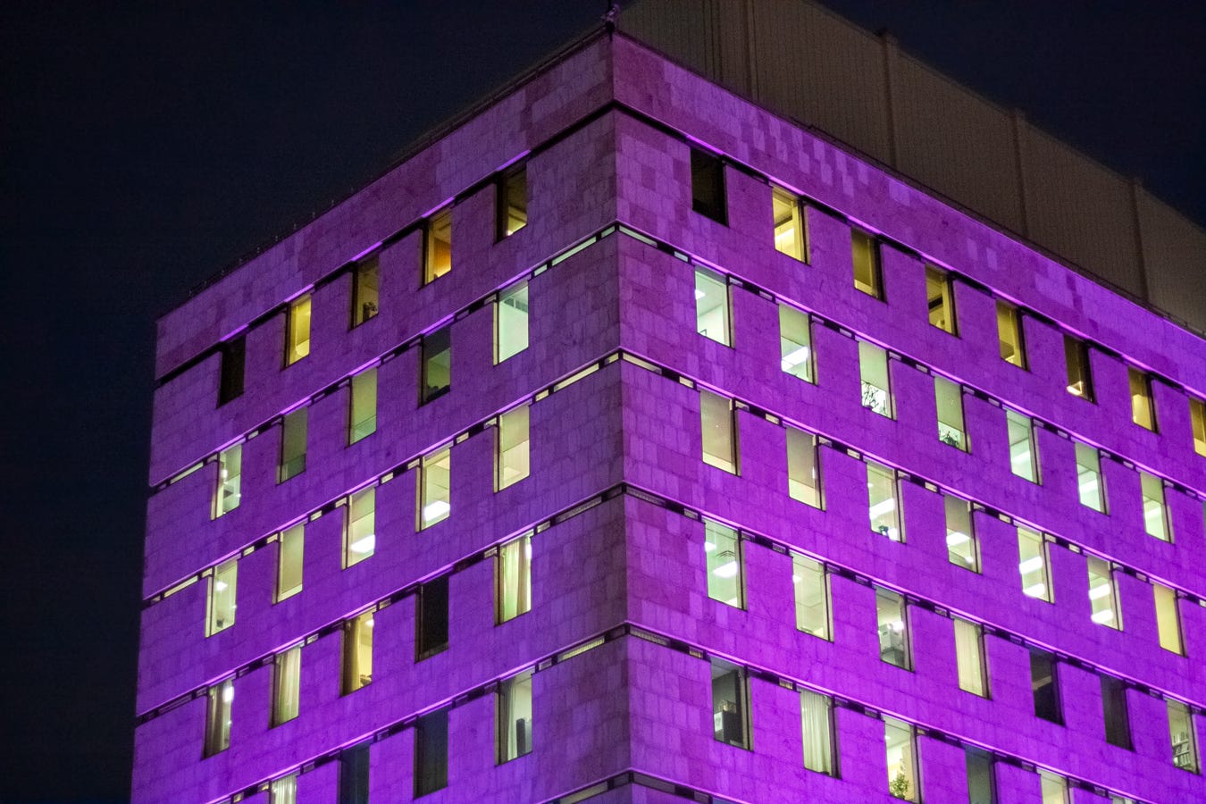 Purple City Hall - Photography by Brad McKay