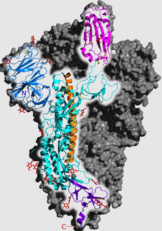 Preprint: "The SARS-CoV-2 Delta variant is poised to acquire complete ...