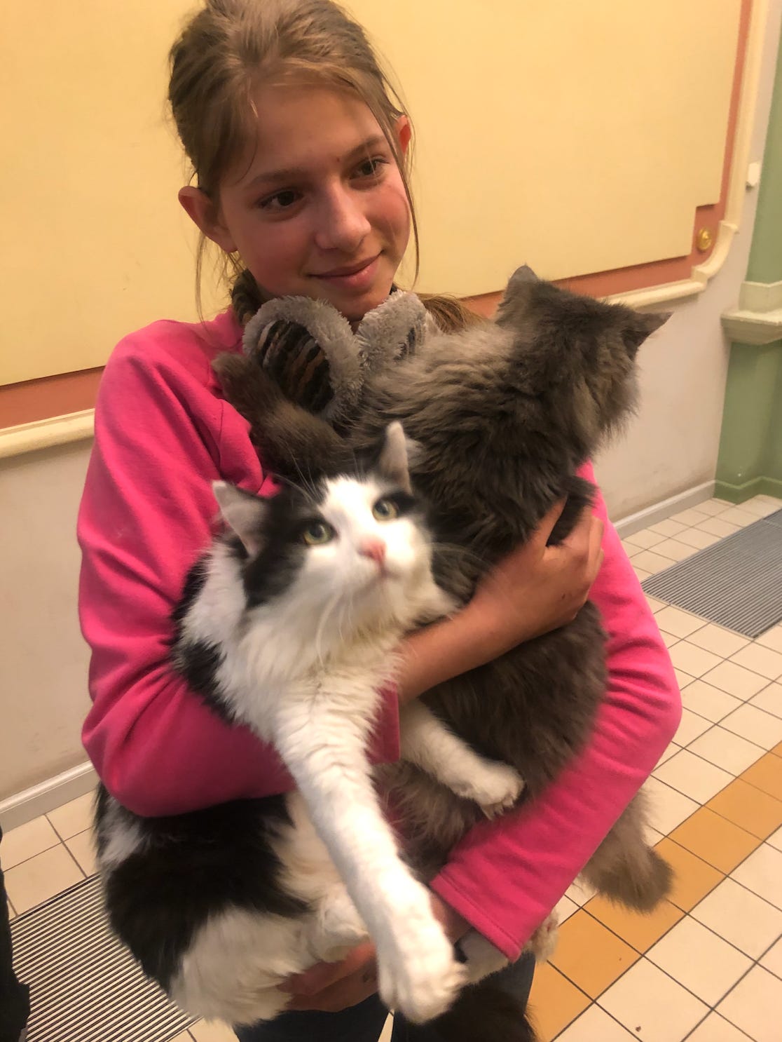 42-49 - by Ada Wordsworth - KHARPP | ХАРПП