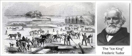 The eye of the beholder - by Geoff Marlow