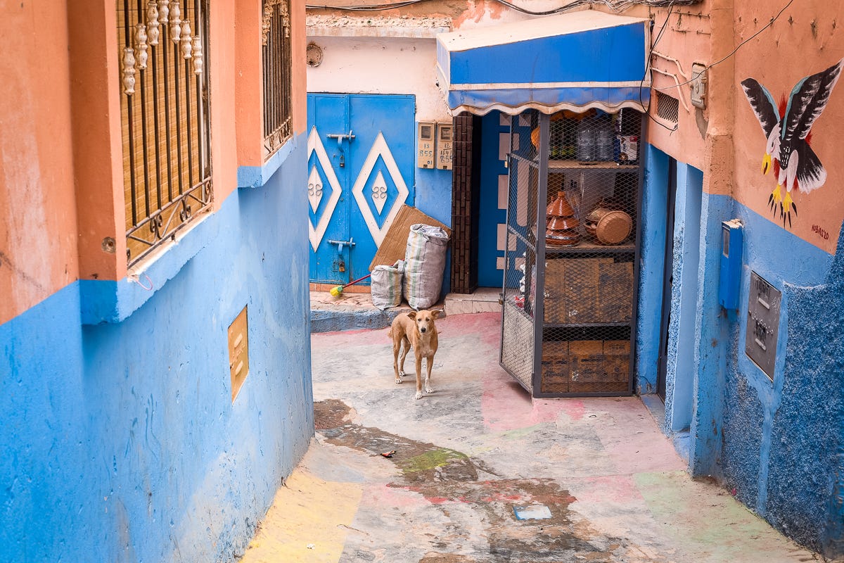 Morocco and Tofino in Photos - by Anna Haines - Best,