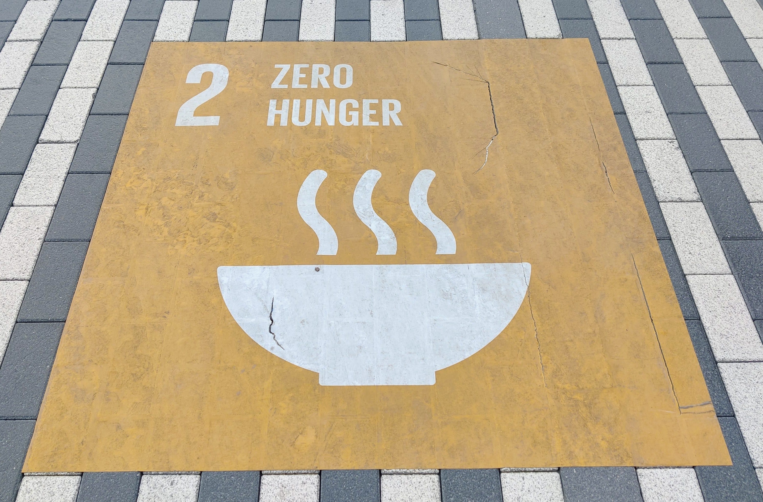 “We produce enough food to feed 1.5 (times) the global population”