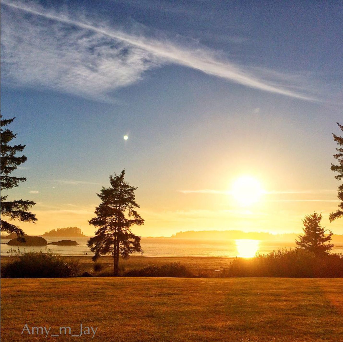 Tuff City - Wild Life with Amy Jay