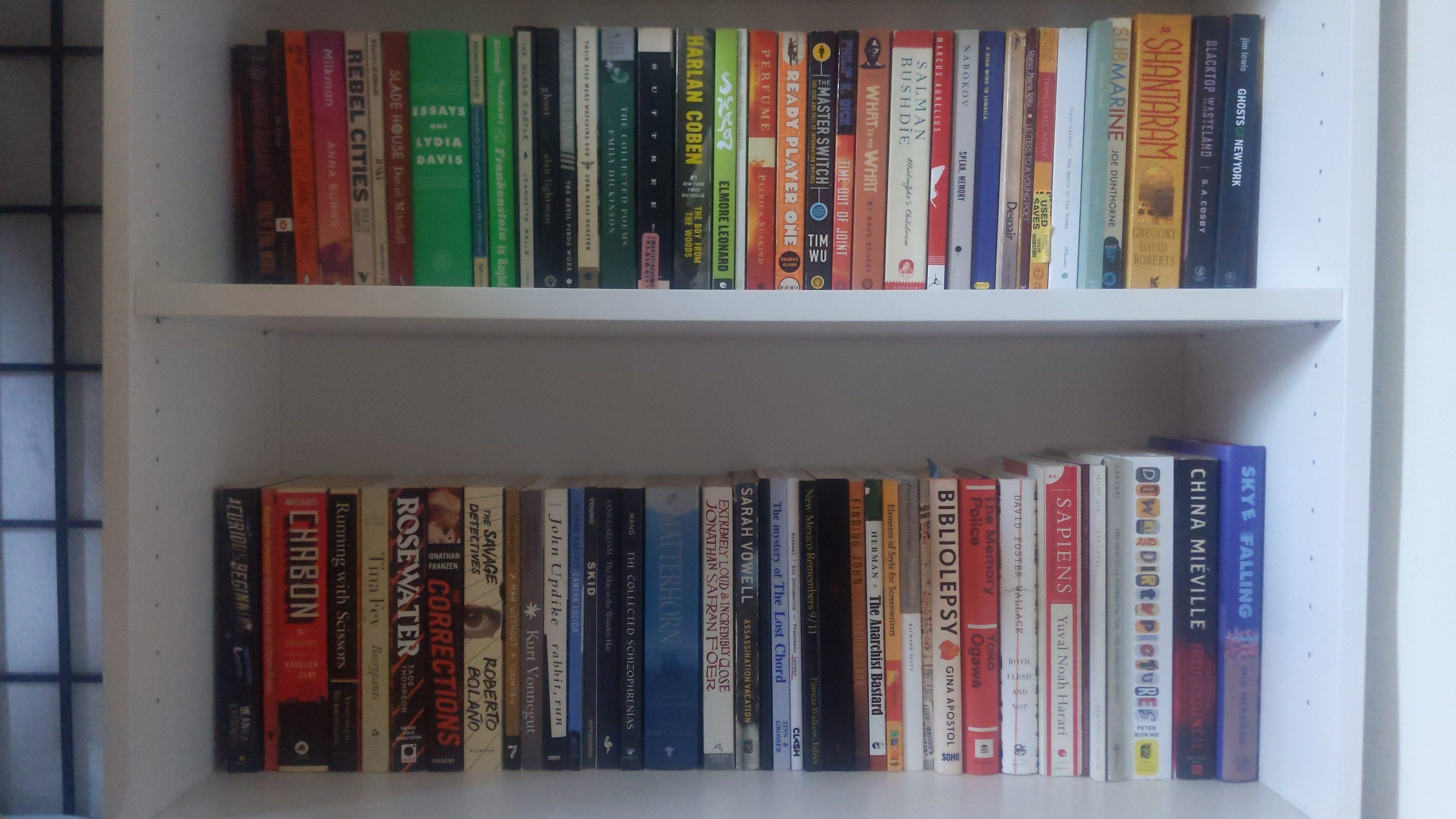How I Sort My Bookshelves - by Dane Benko