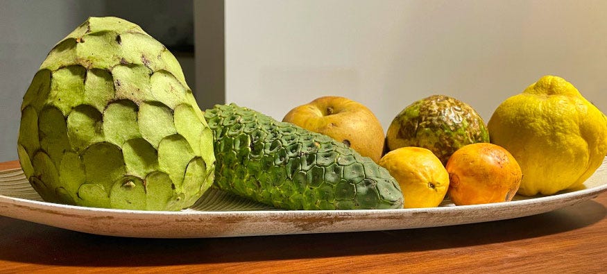 The Magnet 72: Exploring the Delicious Fruits of Madeira — A Tasting ...