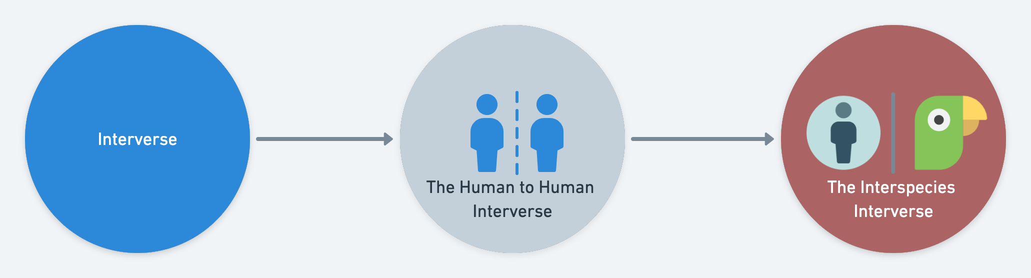 M5: The Interverse - by Rajesh Kasturirangan - Ranganaut