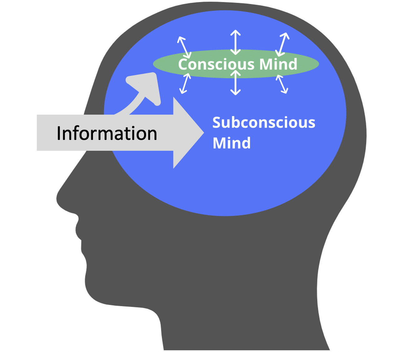 You are subconscious. 95% of the time. - by Francis Sani