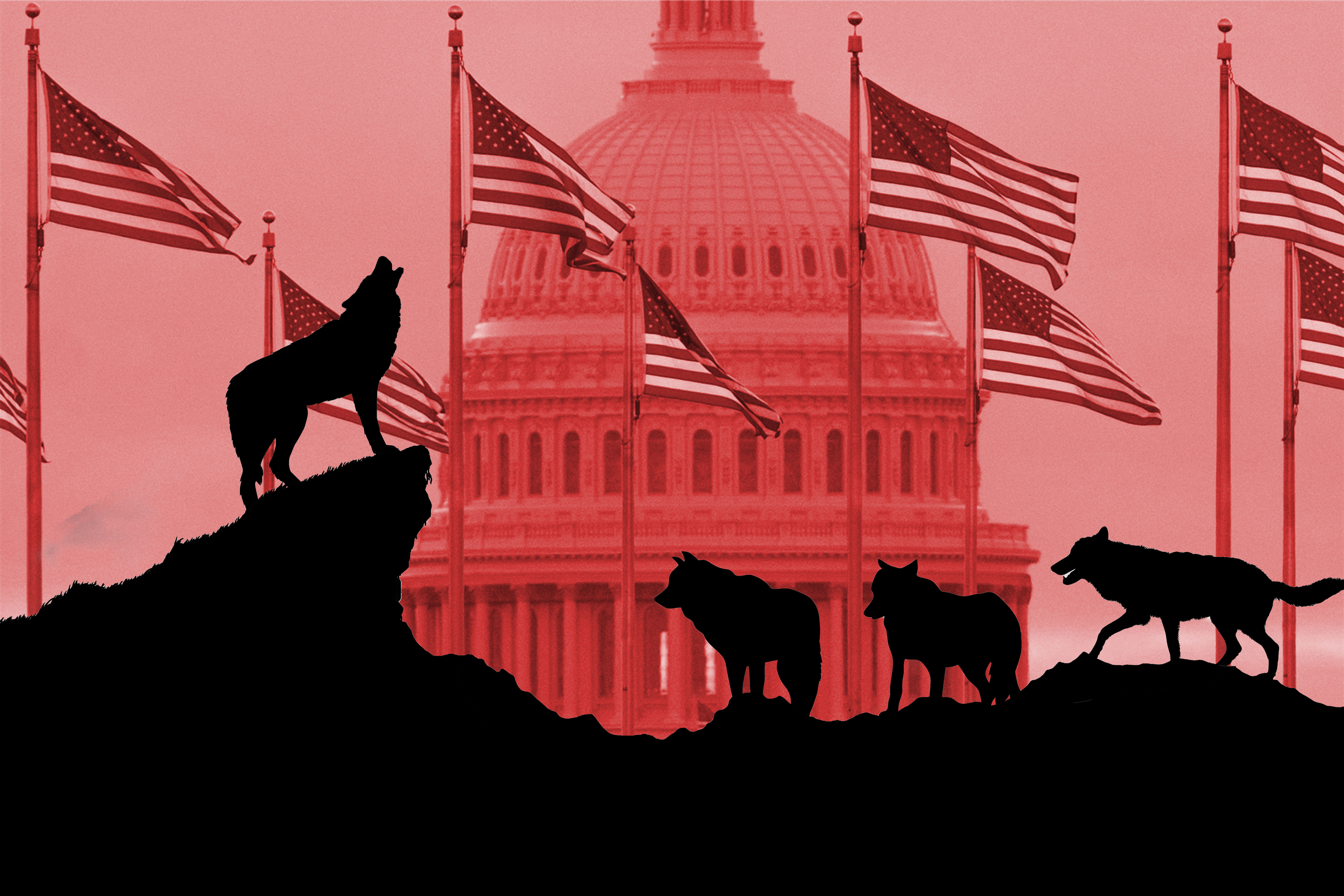 The Problem with the “Red Dog Democrat” Thing