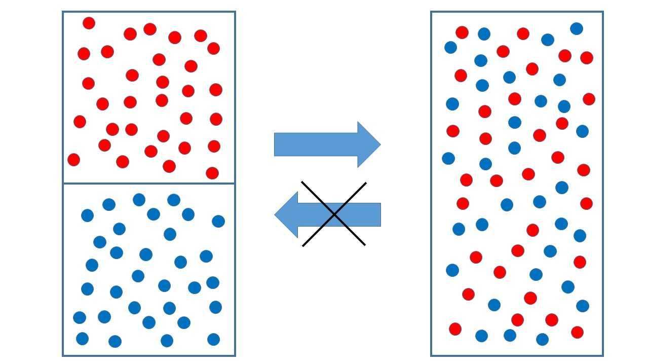 Entropie Economique, Faux Vrai Concept - by Stéphane Geyres