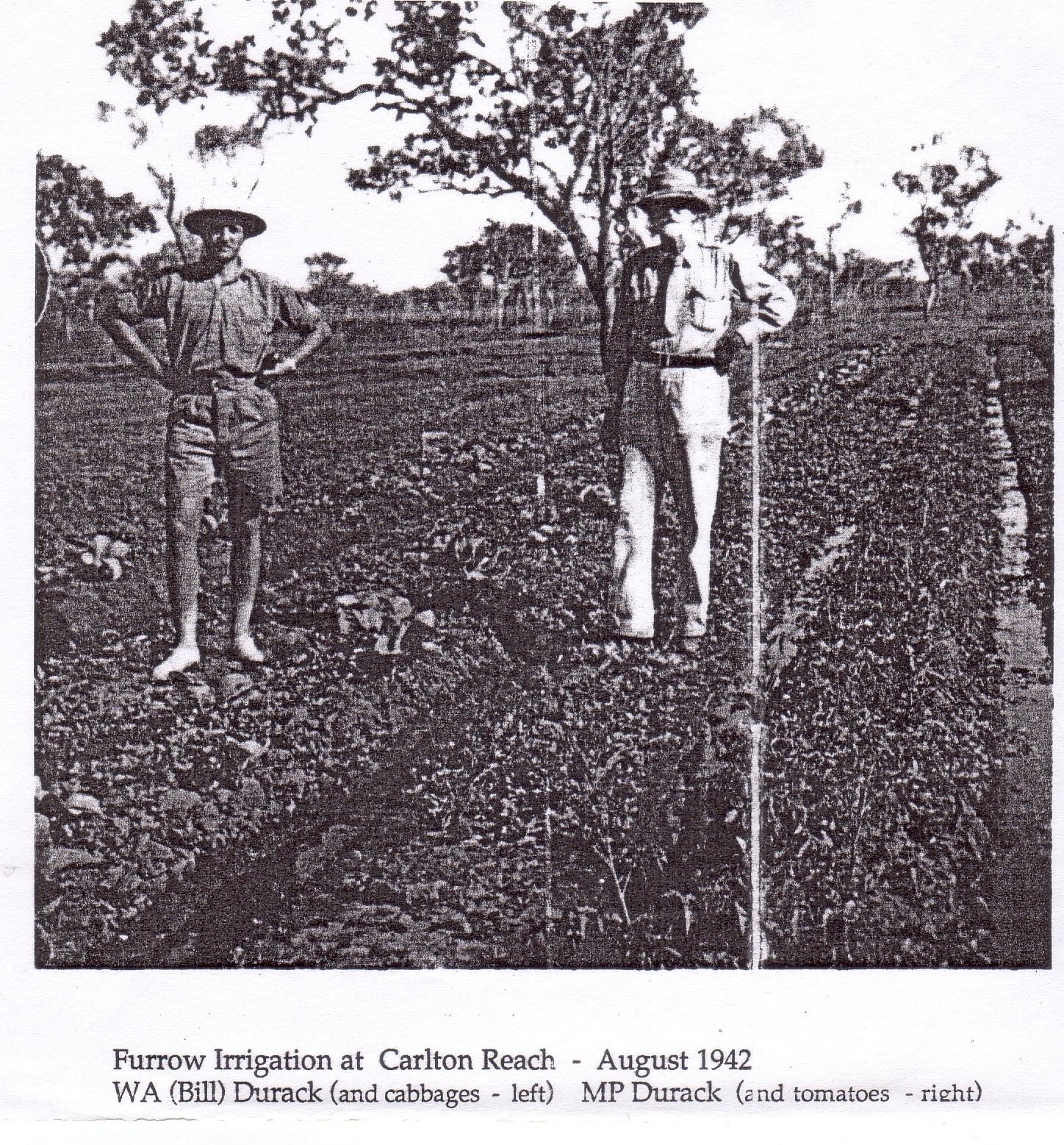 A letter from the past - by Patrick Durack