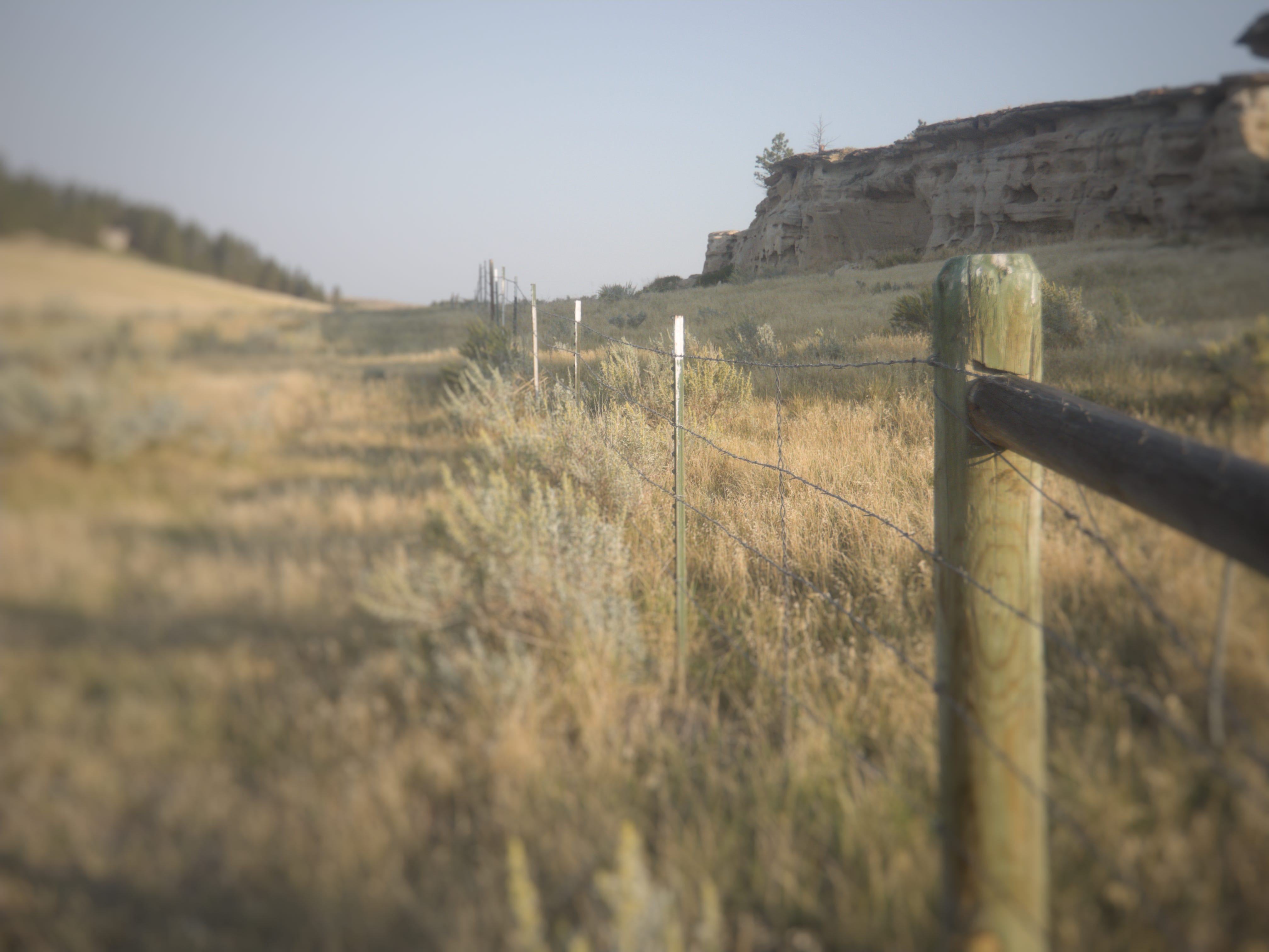 The Rosebud Battle - by Dennis Gaub