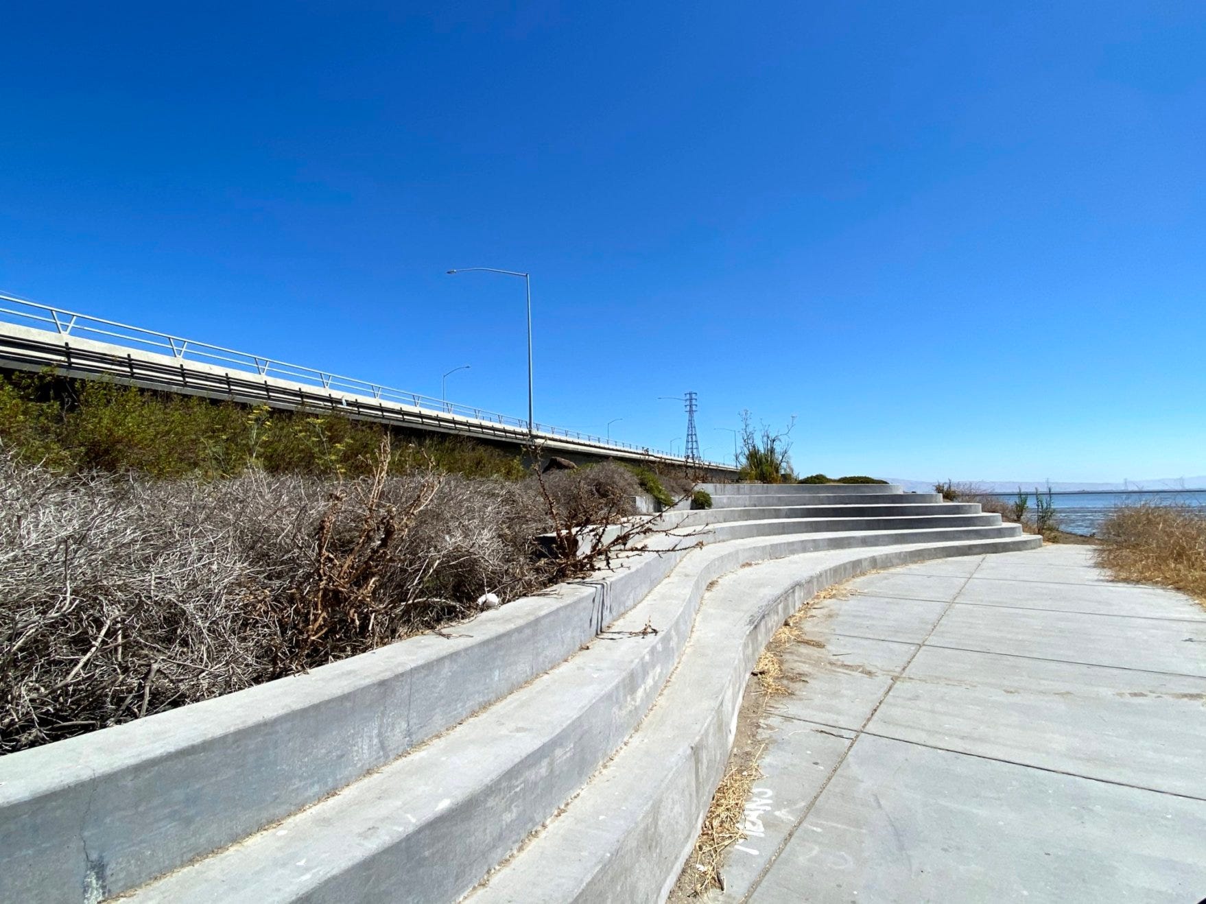 Below Dumbarton Bridge - by Smita Kolhatkar