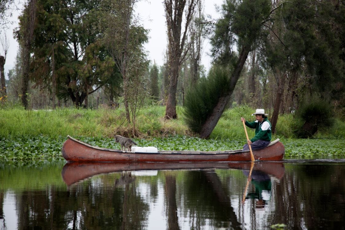 The Chinampas of Xochimilco - by Nicholas Gill