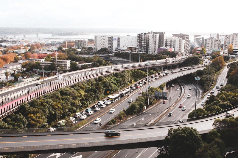 Dawn chorus: Auckland busway cut