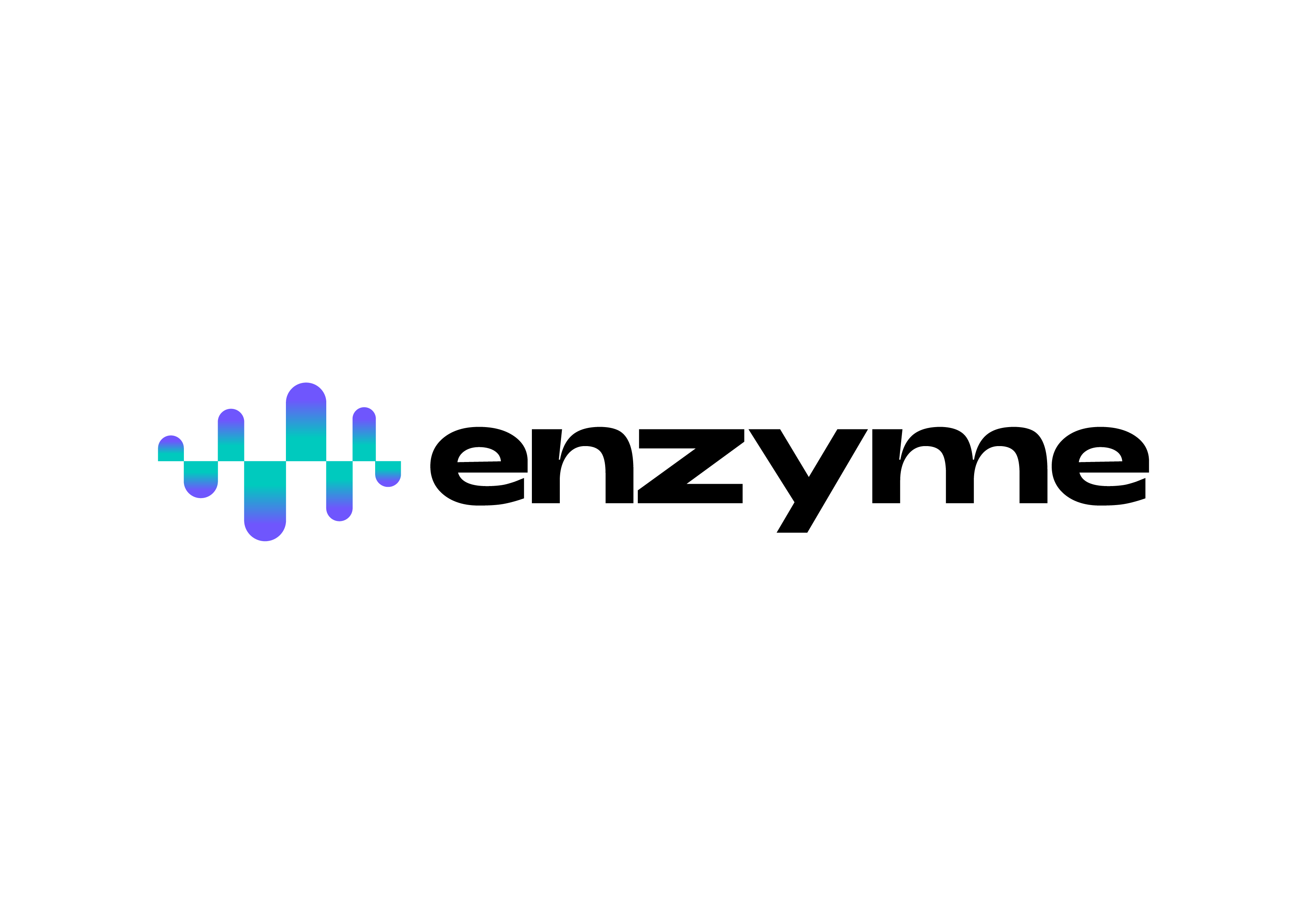 Enzyme: A Platform for Decentralized Asset Management