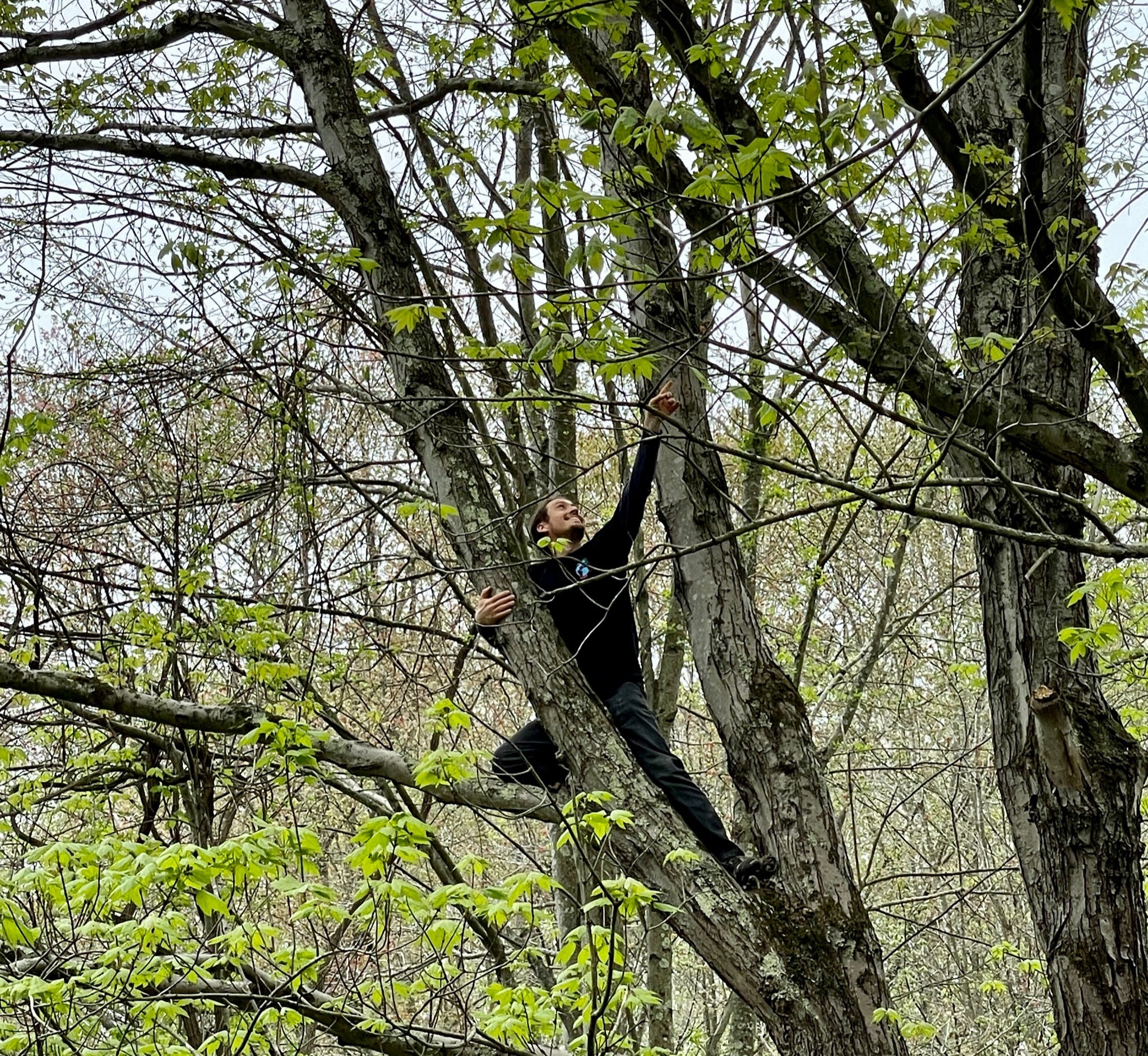 Ben - by Jane Ehrenfeld - Whimsy and Pique