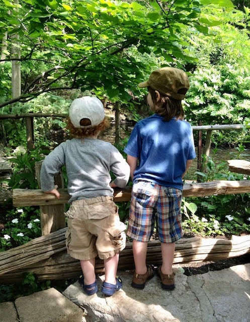 The Creator Reflex - - by Janice Prazoff - Raising Us