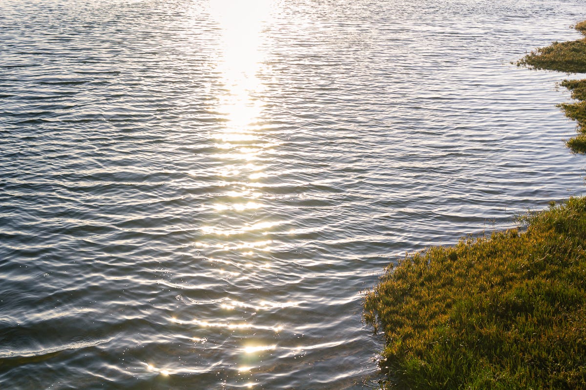 The beautiful and ever changing Ria Formosa - by Diana