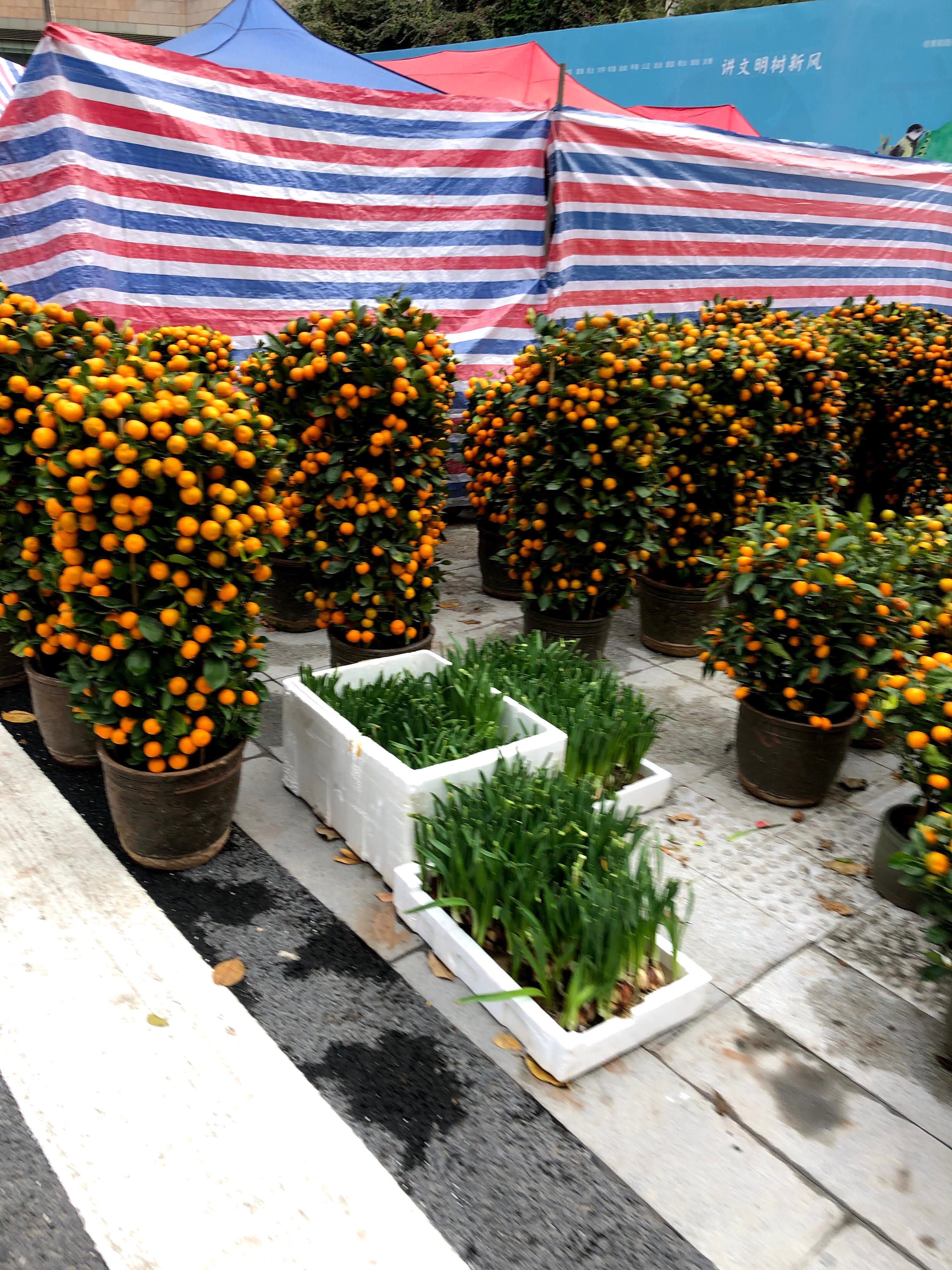 A room with a view - by Jason - JYAS