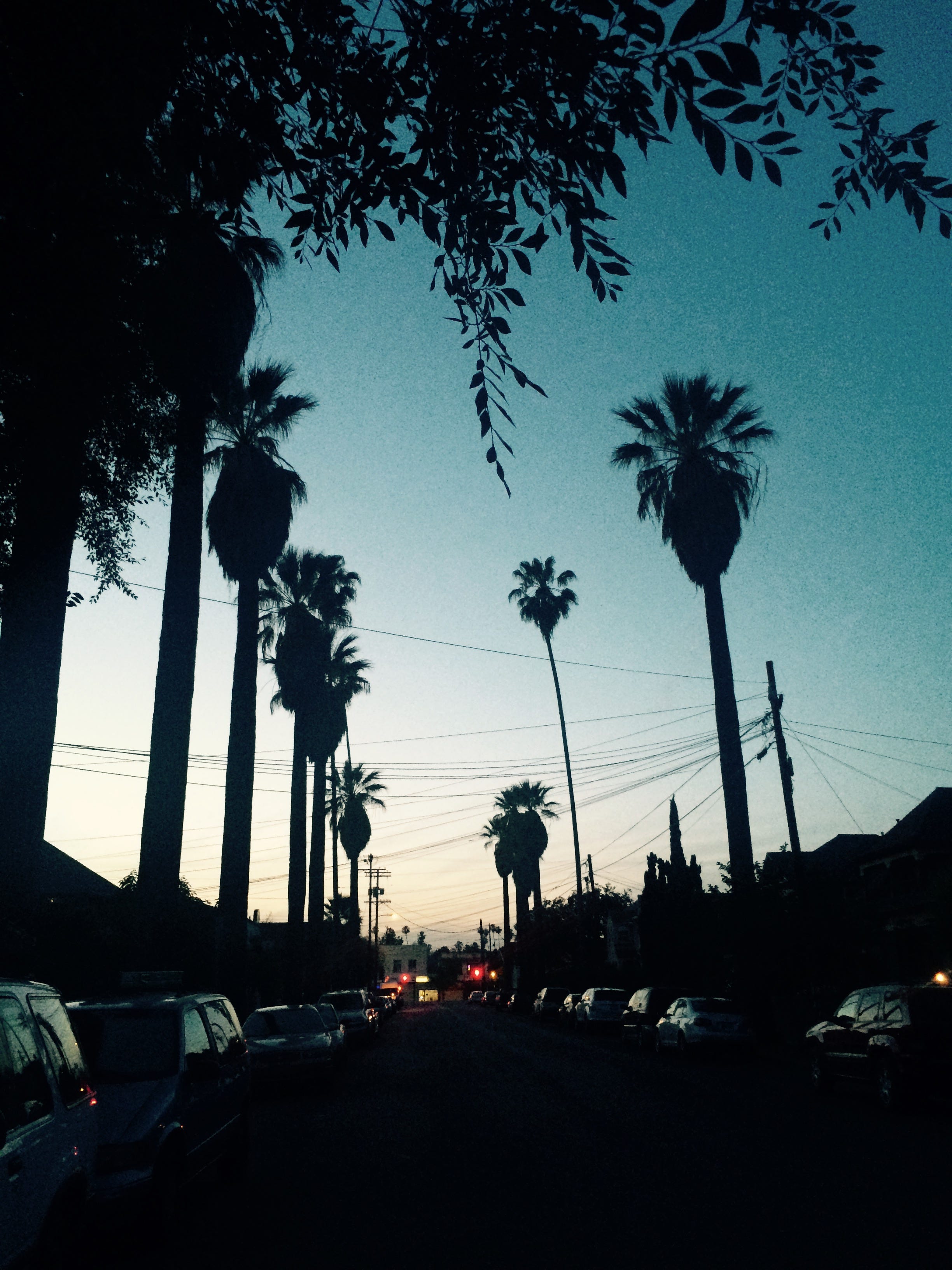 GCL 001 "FALL ALL OVER/DEAD OCTOBER" | GIOVANNI MARKS | Substack