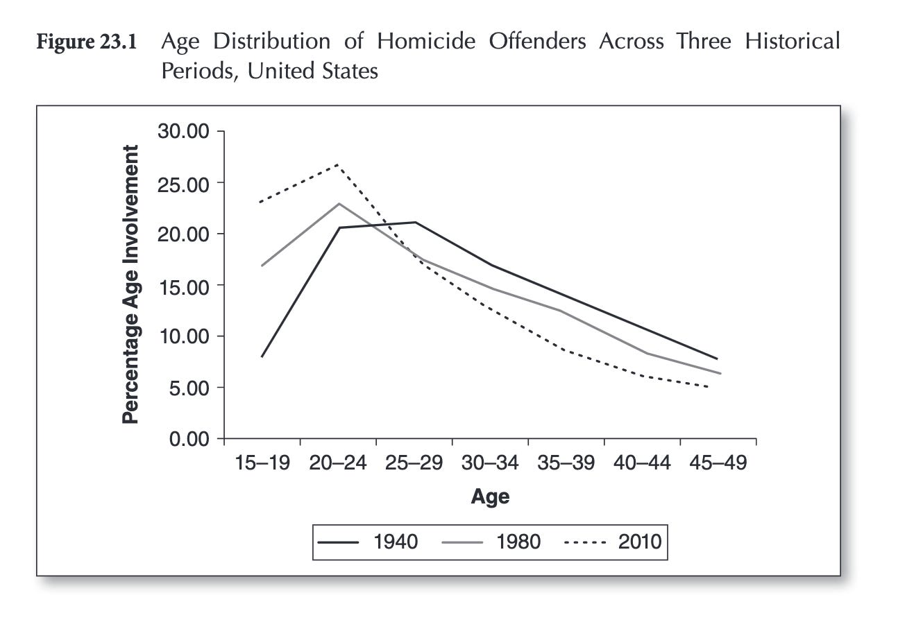 What Causes Racial Disparities in Crime Rates?
