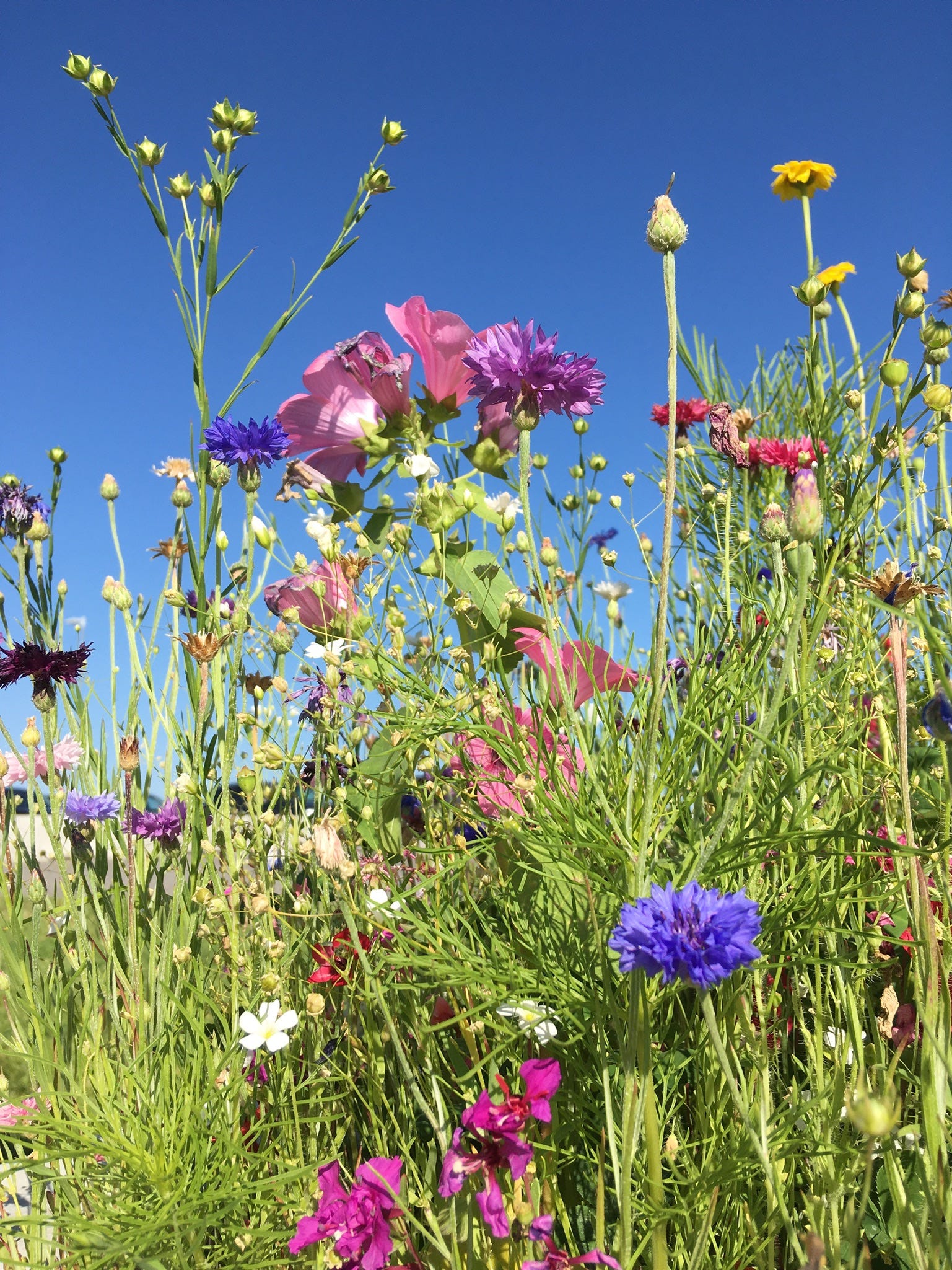 March 2022 Newsletter - by Kaitlin McGinn