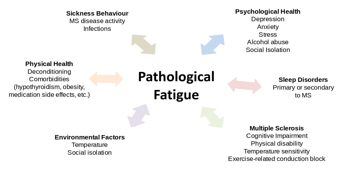 Do you suffer from cog-fog, fatigue or sickness behaviour?