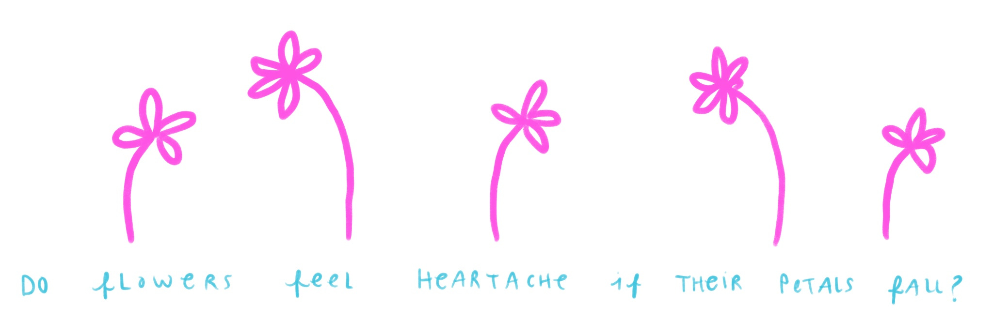 Confusion, Terror, Beauty, Joy, Wonder, Pain