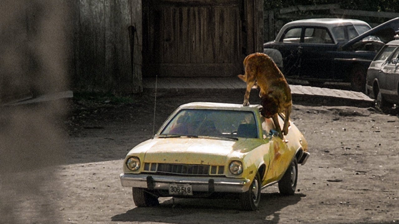 Movie Review: Cujo - by John Murphy - Nerd Central