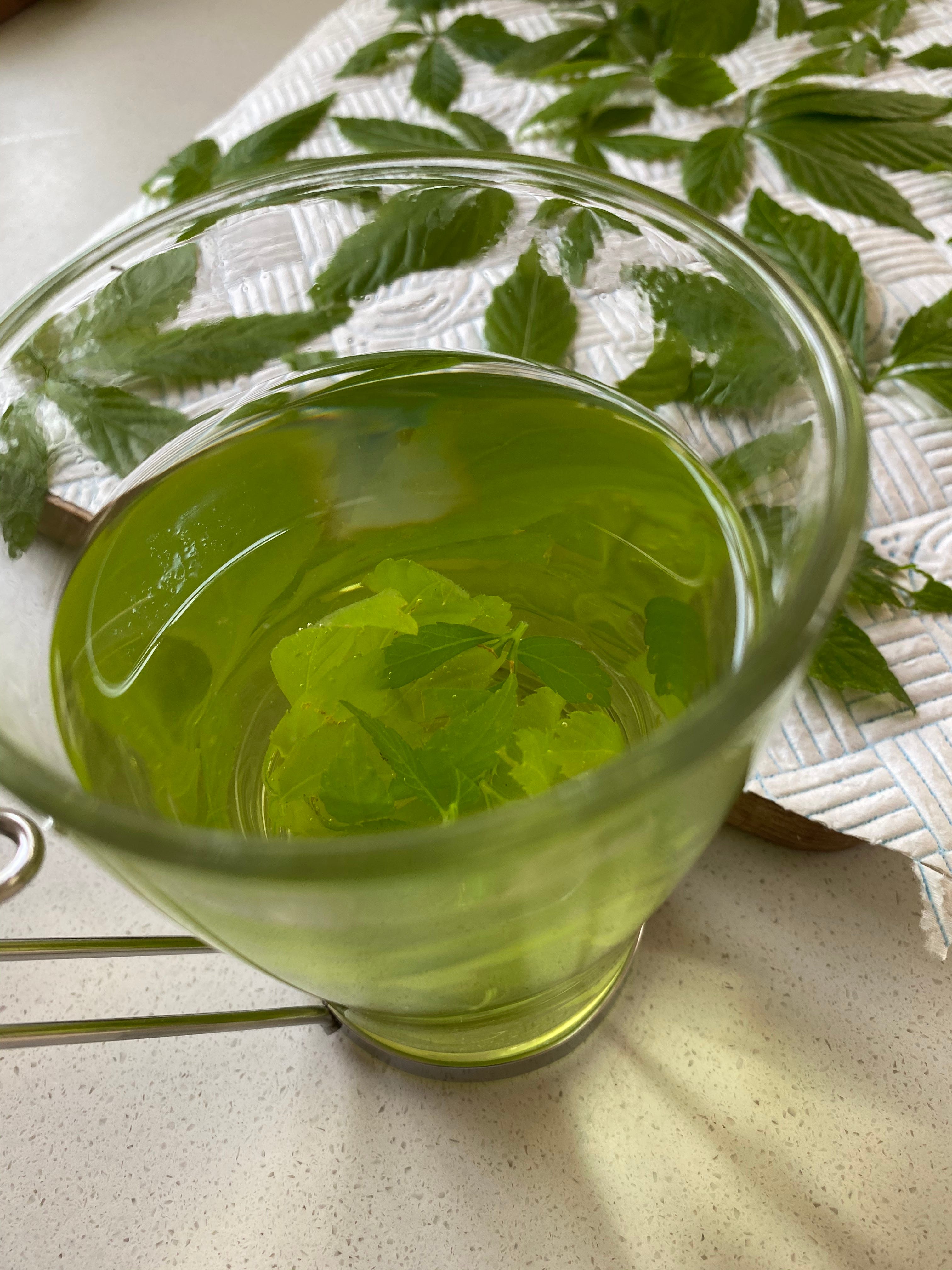 In and out of my herb garden in December, week 2