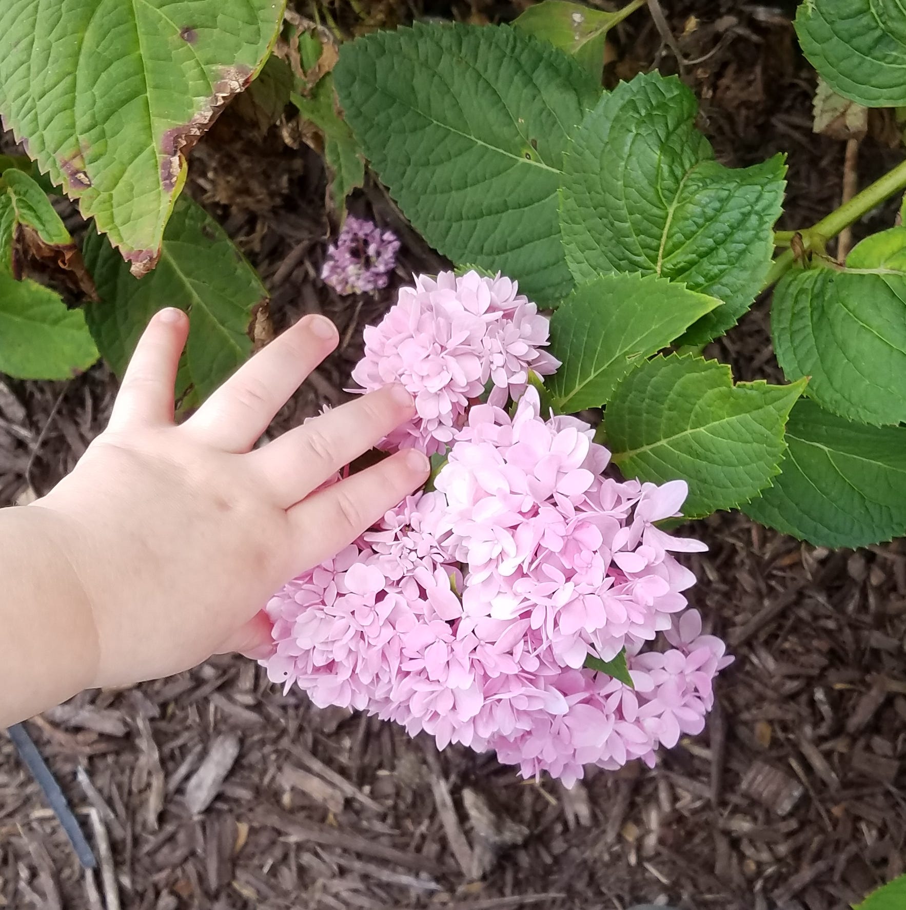 Susan G.S. Abel | Substack