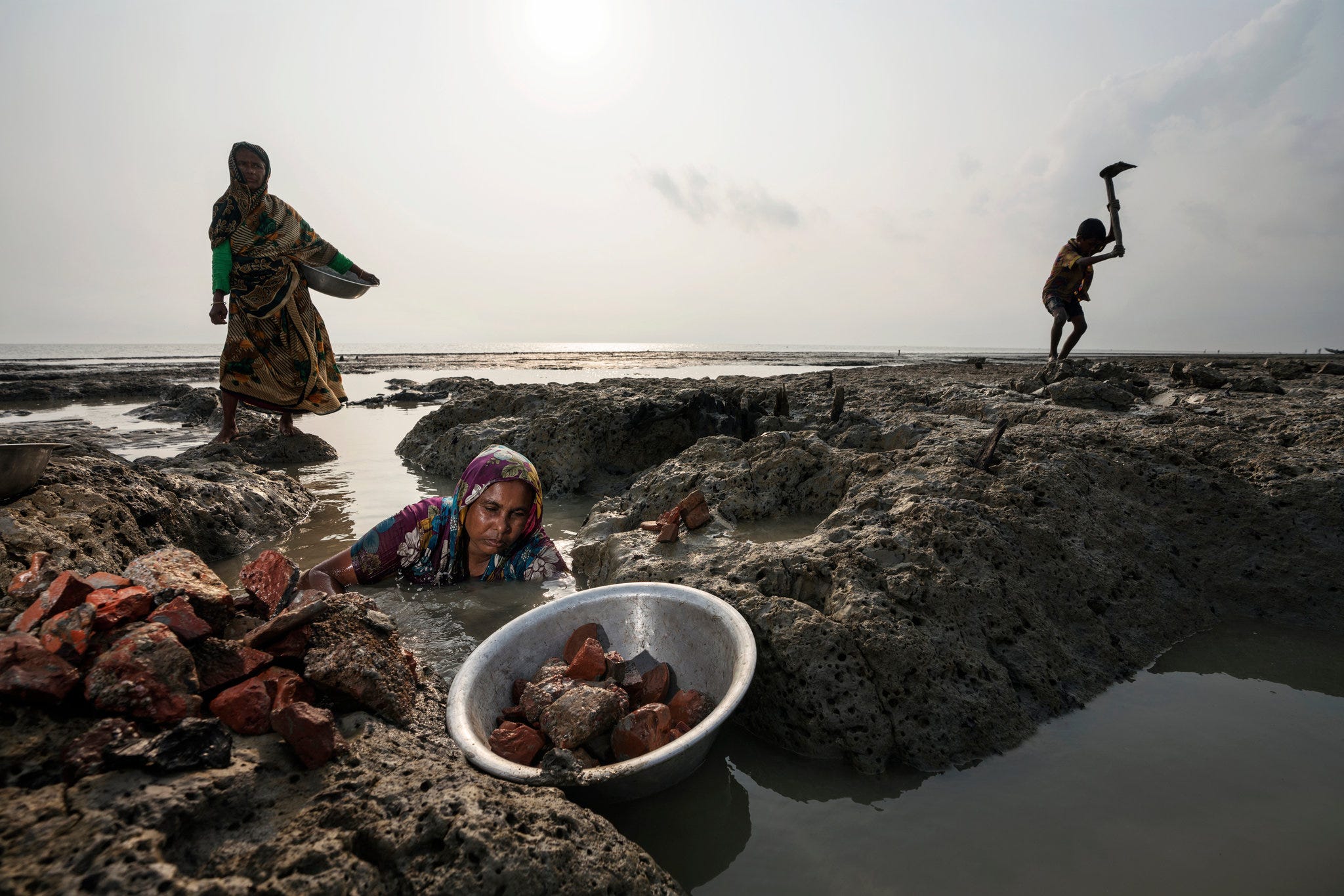 The mass extermination of animals is the greatest atrocity in human history