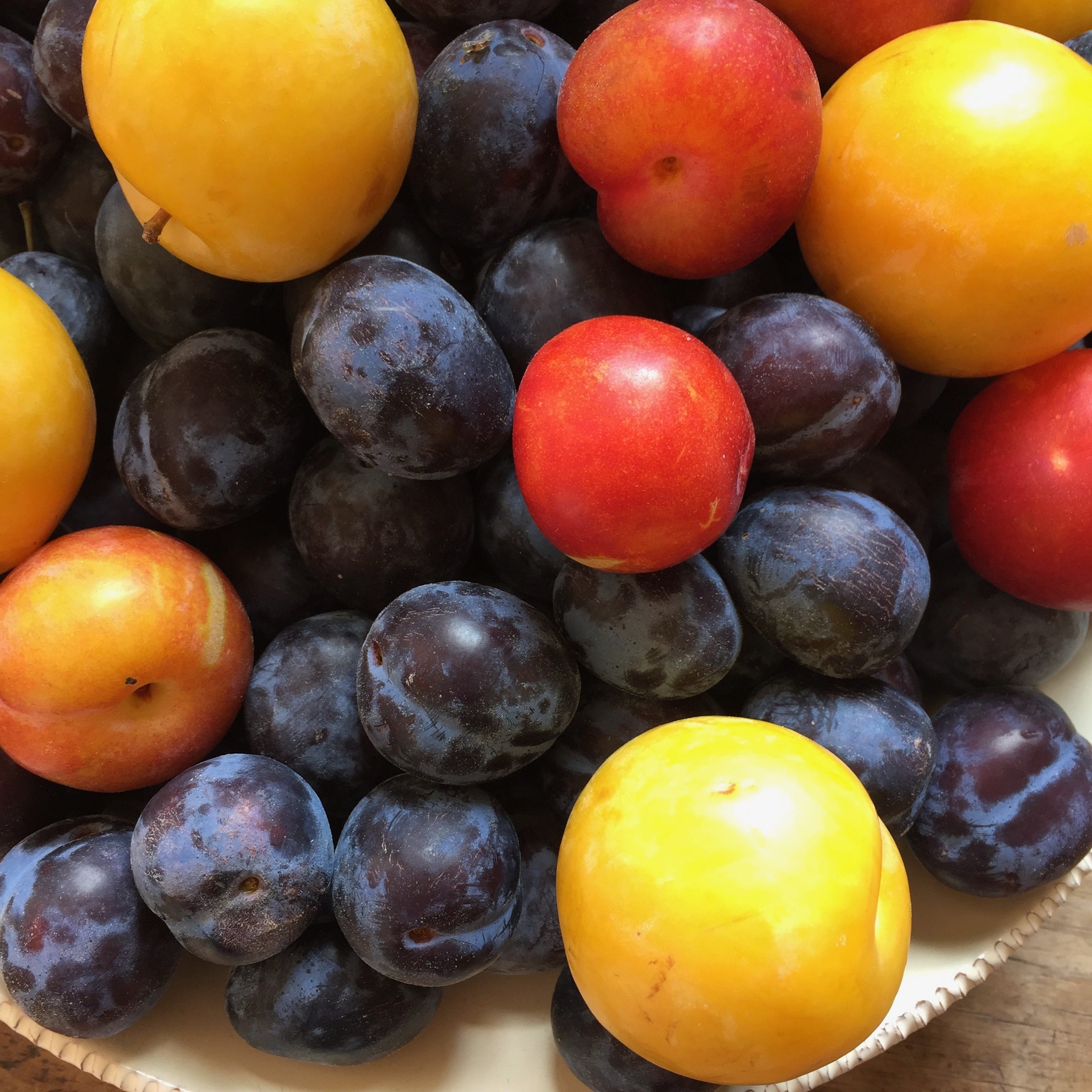 Plums! - by Lesley Chesterman - Lick my Plate