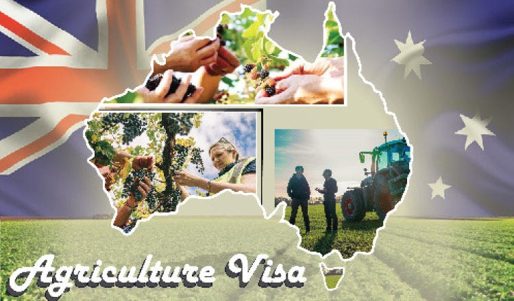 Australia Opens Gate for Asean Agriculture Workers