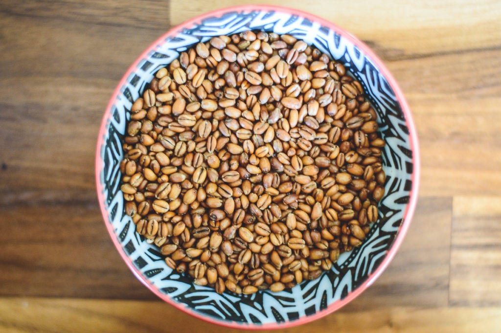 Popped Wheat Berry Granola - by Reba Toloday - reba cooks