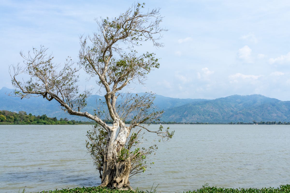 AstraZeneca Vaccinations Continue - by Michael Tatarski