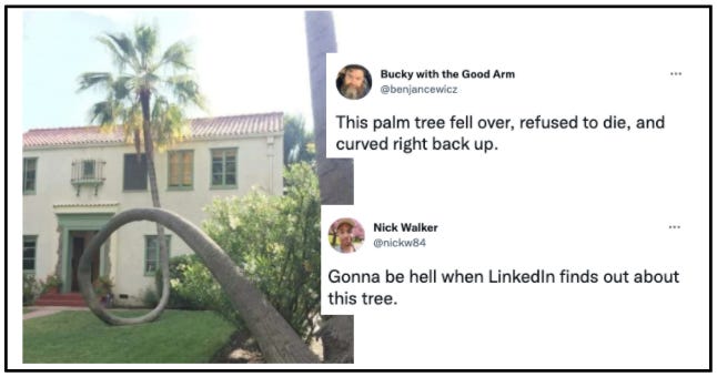 Why is LinkedIn so cringe? - by Trungphan2