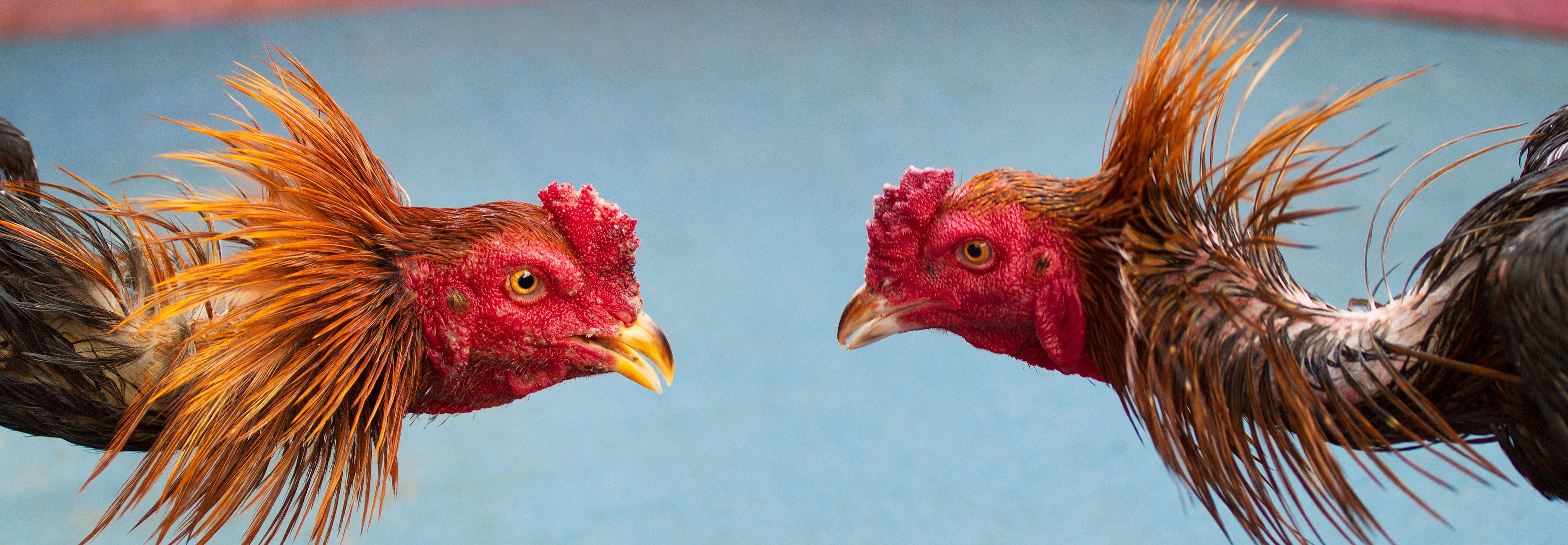 Try This: The Tactile Detail