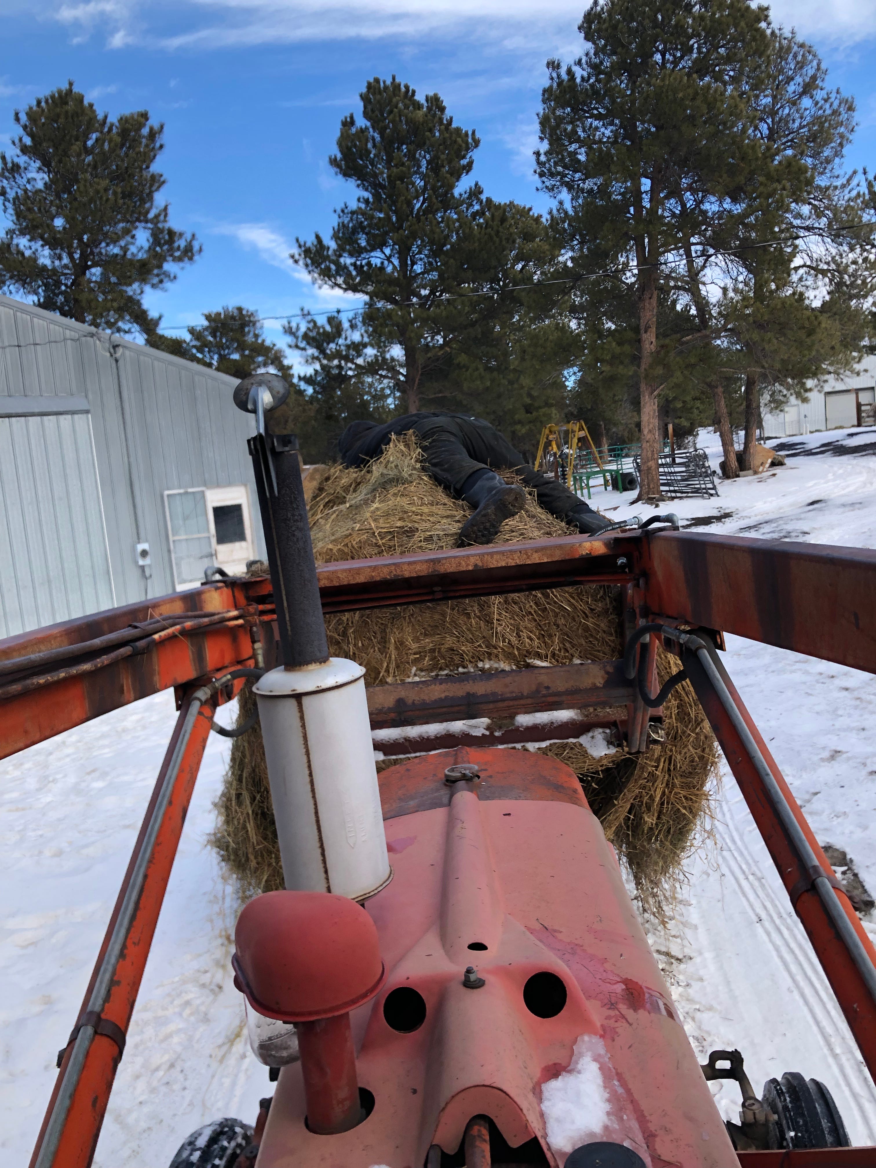 Surviving the Mini Ice Age - Fat Turkey Farm