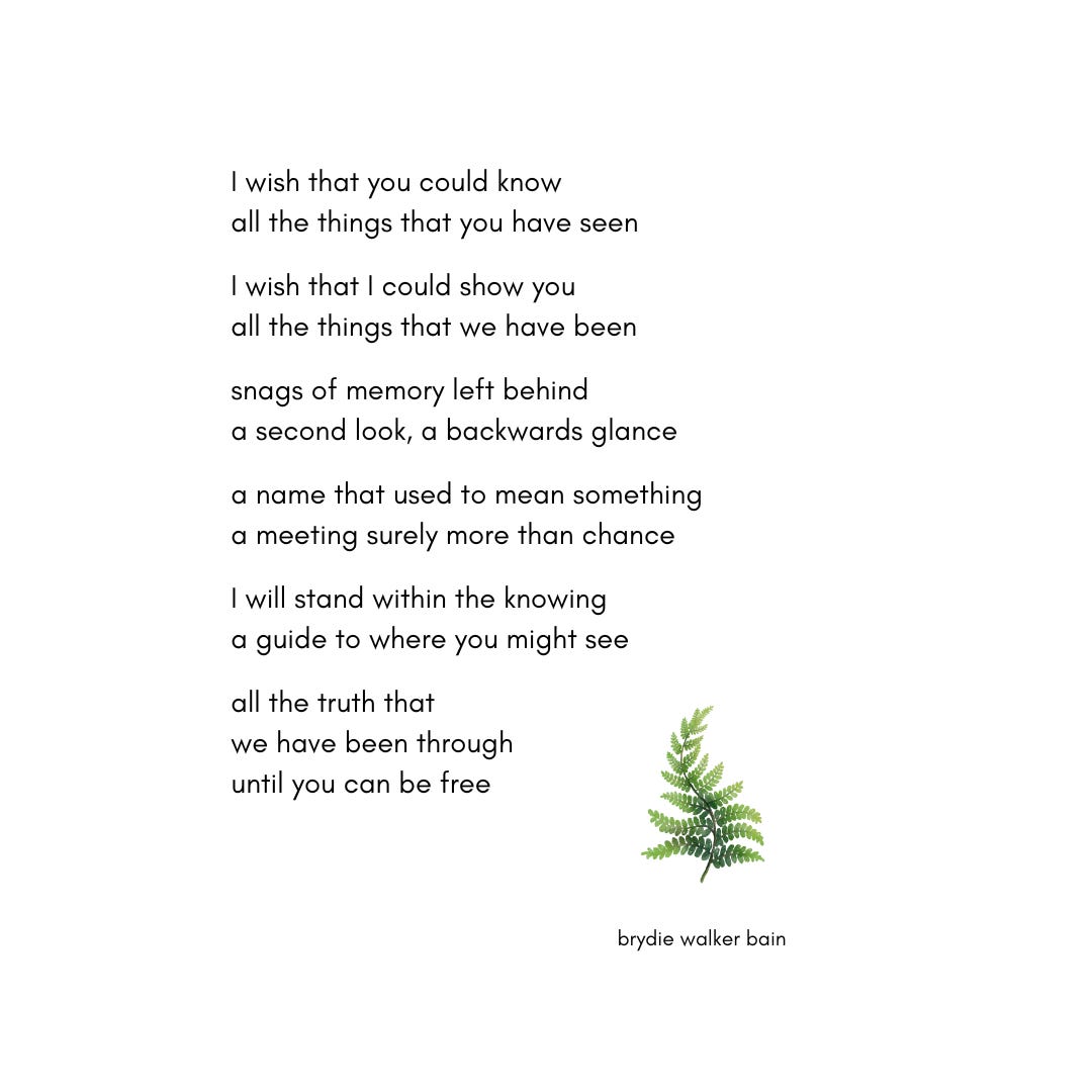 All the things that you have seen - by Brydie Walker Bain