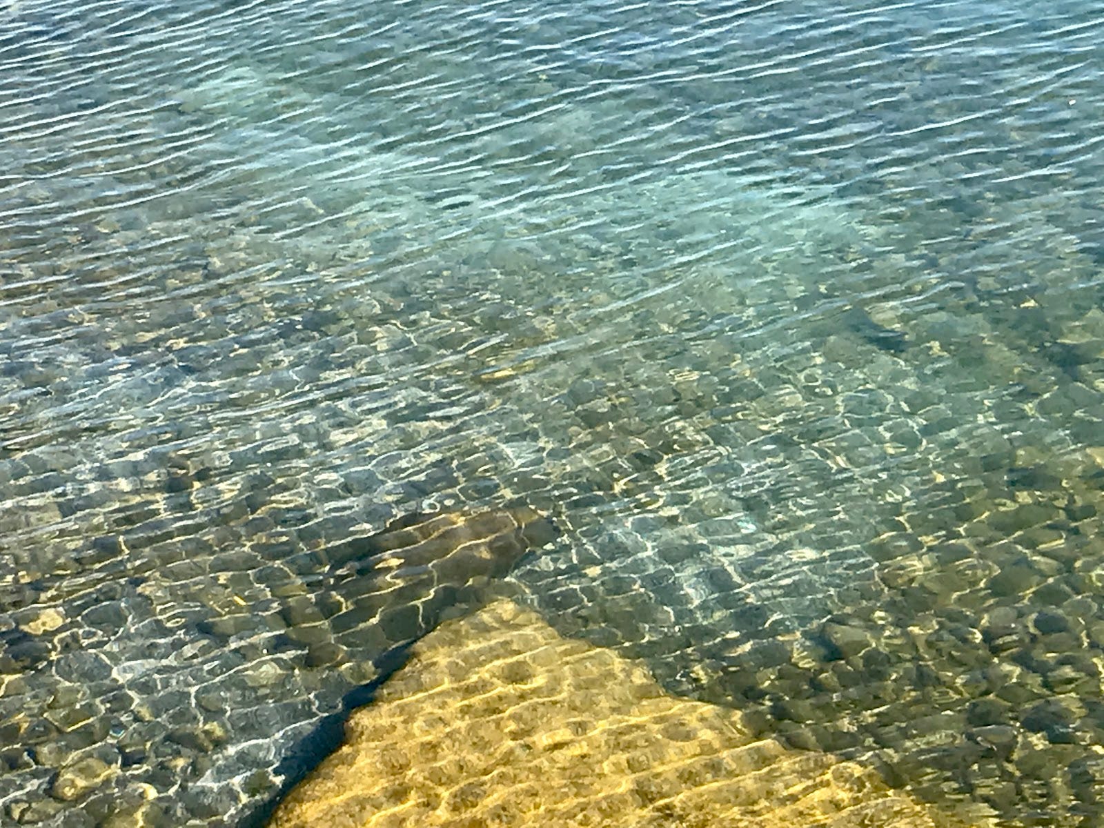 Revealing Invisible Patterns - by Kim Manley Ort