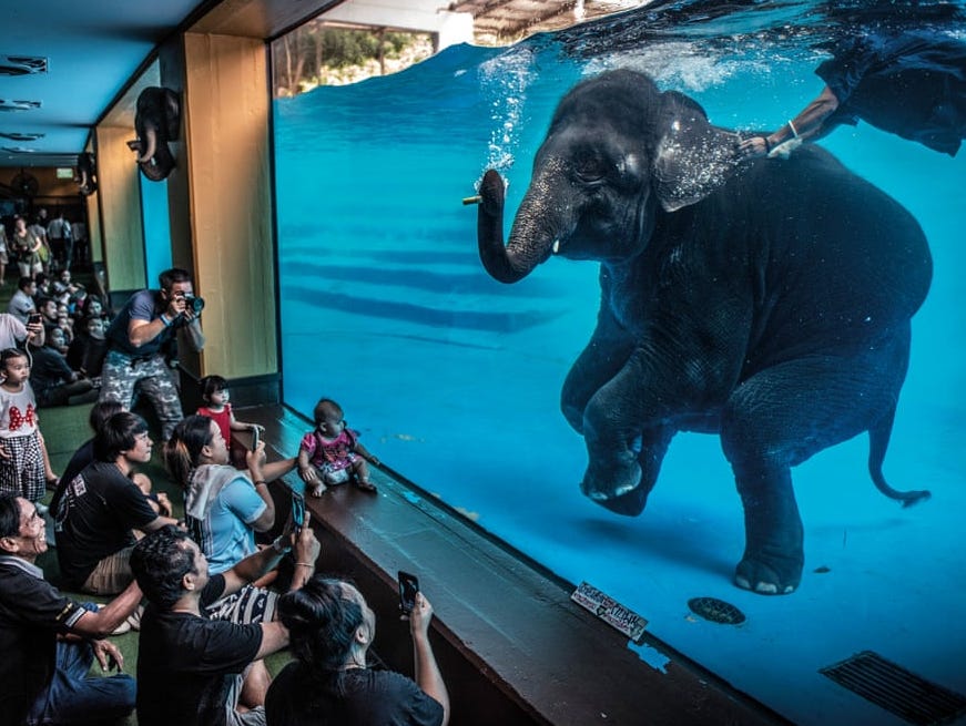 #0067: Den ultimata guiden till världens bästa nyhetsbrev