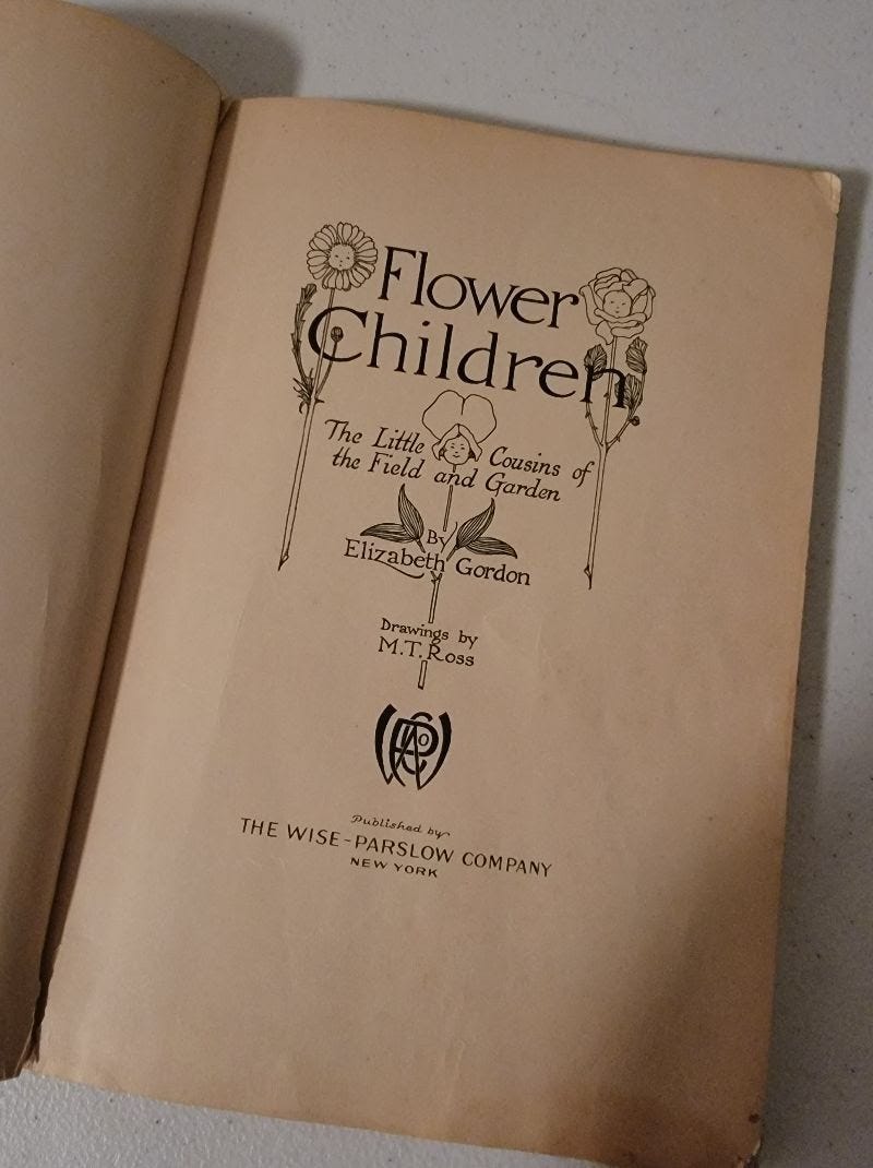 Lisa Fowler | Substack