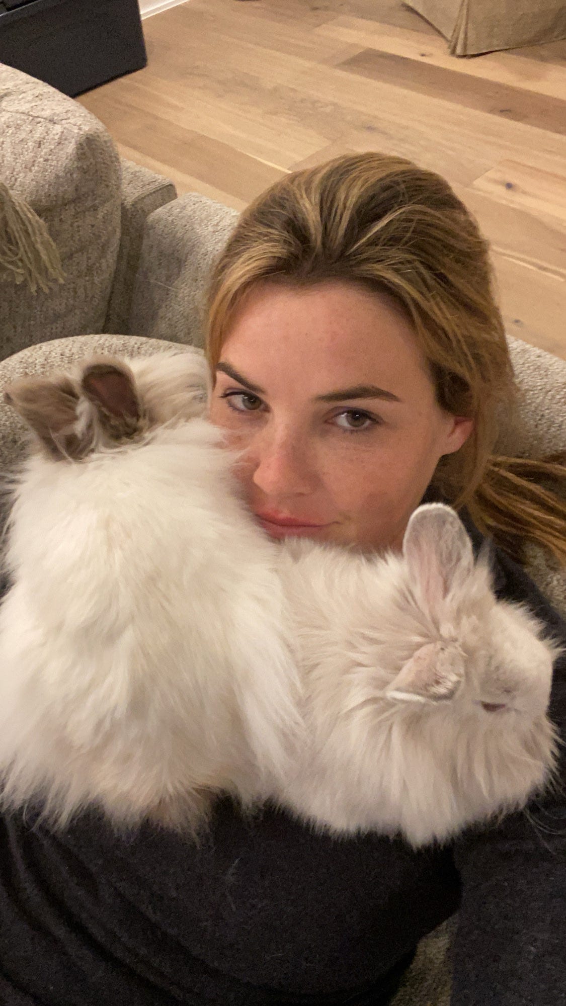 Rabbit = Good Friend - by Noah Smith - Noahpinion