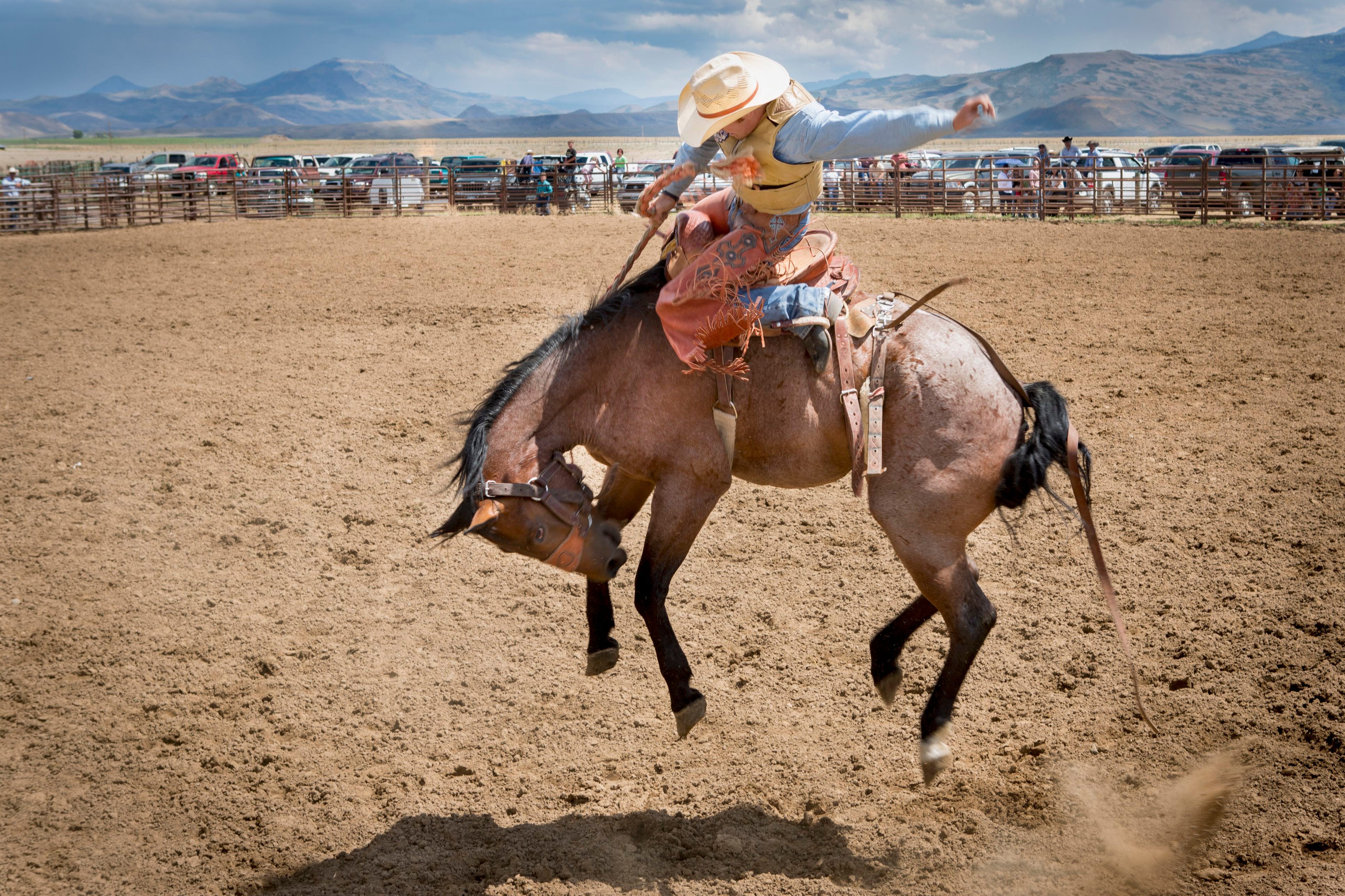 Ever See A Crow Hop? - by John J OConnell IV