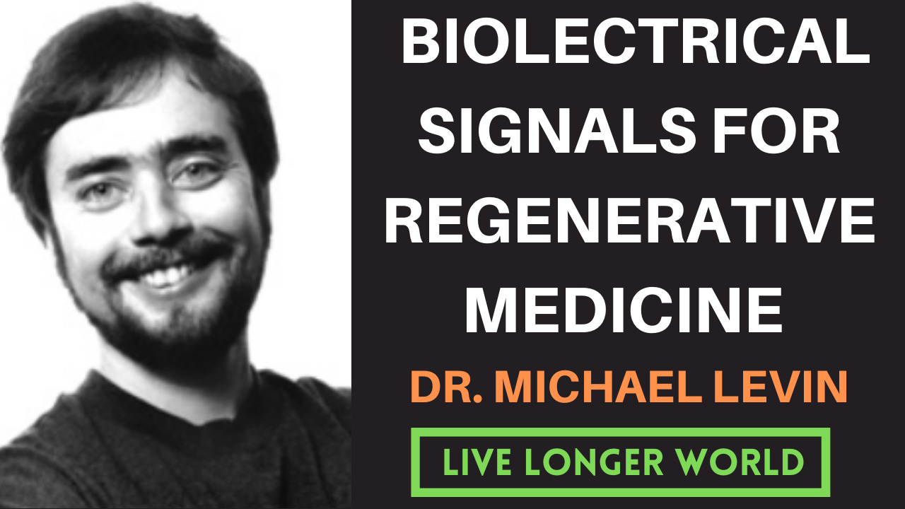Can Bioelectrical Signals Reverse Aging? | Dr. Michael Levin