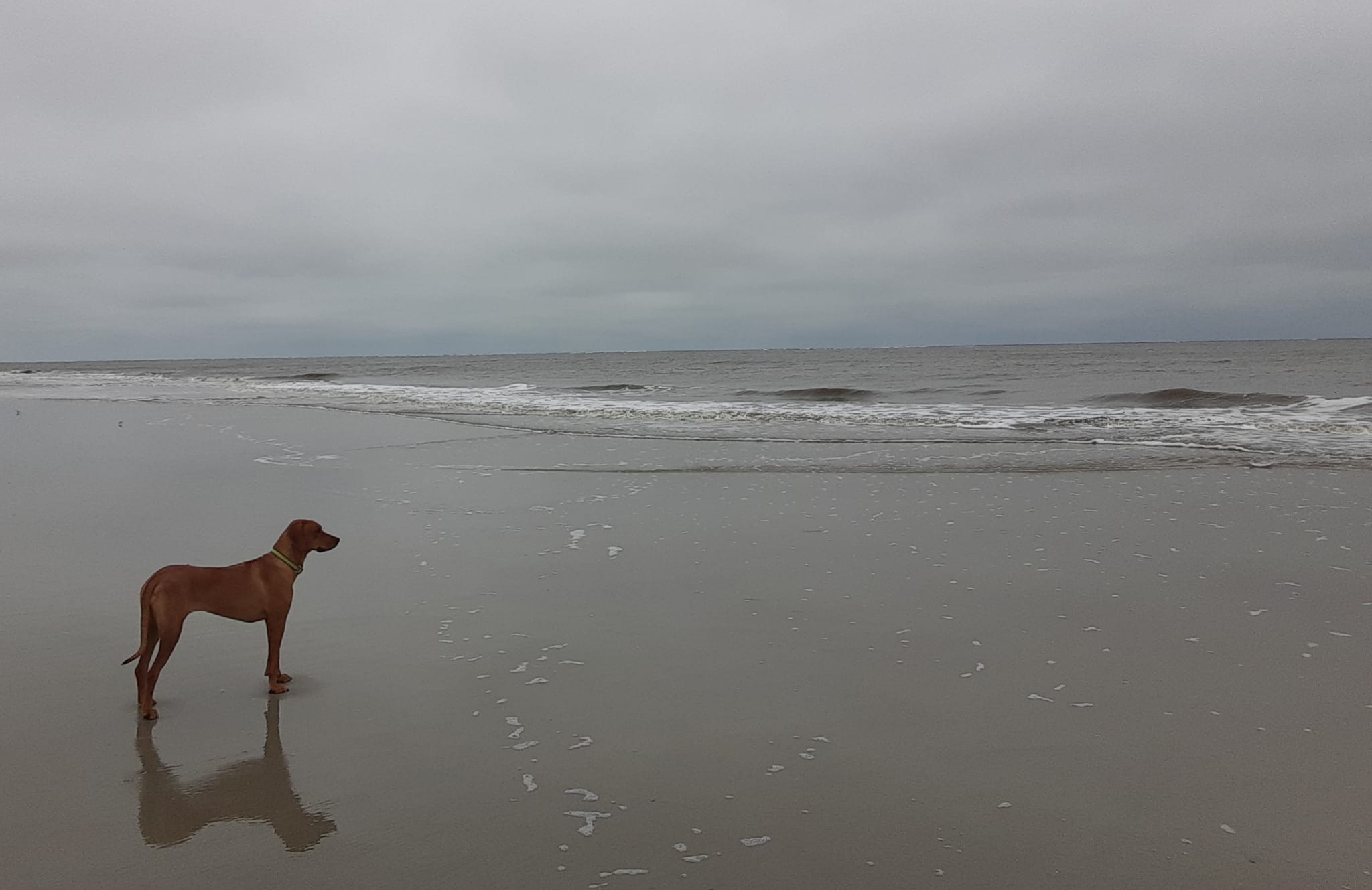 The Importance of Rest - by Susannah West Cord